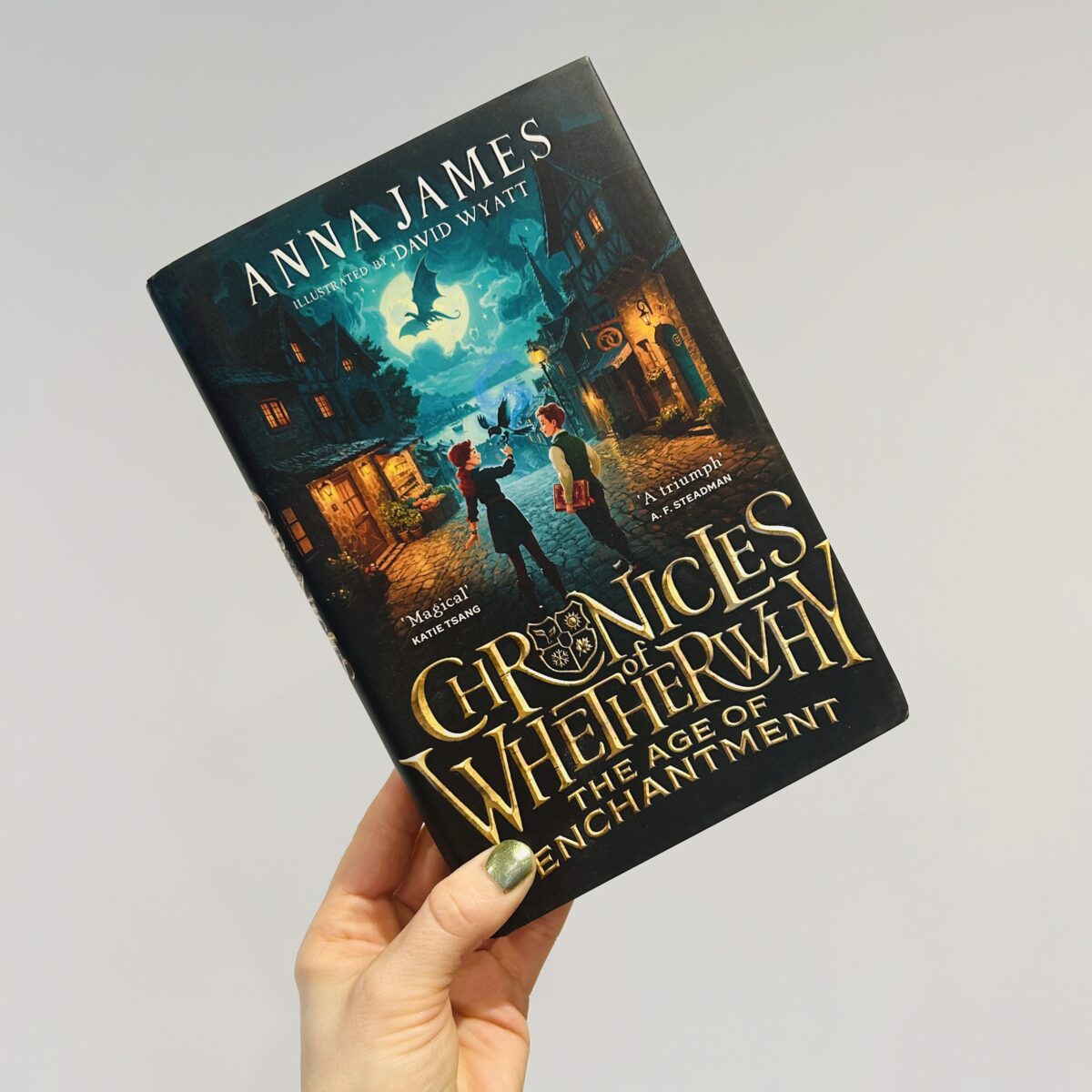 The Chronicles of Whetherwhy - SALE - VIP Reading